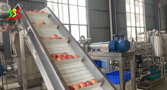 Aseptic Packing Mango Pulp Fruit Puree Production Line 3 Tons Per Hour