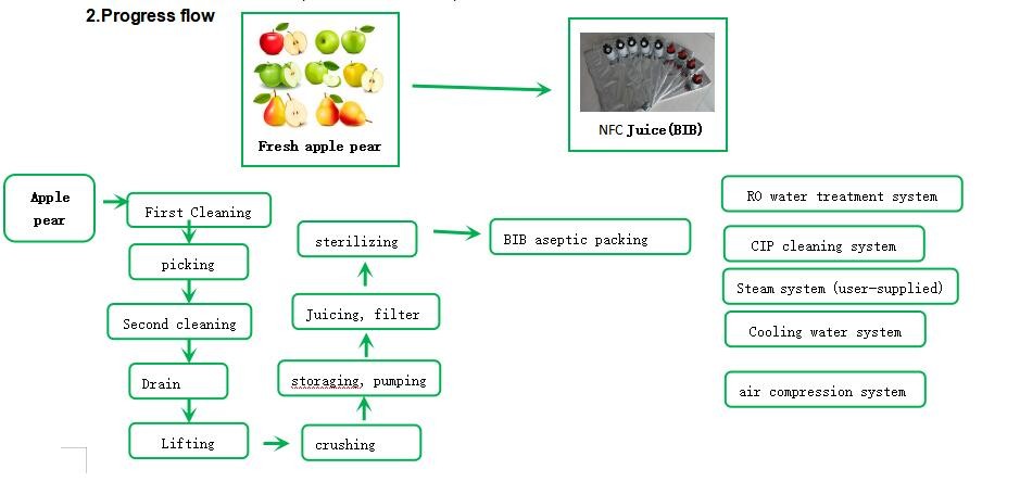 Fresh Juice Bib Packing Fruit Juice Production Line 1 Ton Per Hour