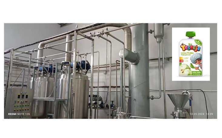 1000kg/H Apple Juice Fruit Processing Line / Automatic Fruit Puree Pulp ...